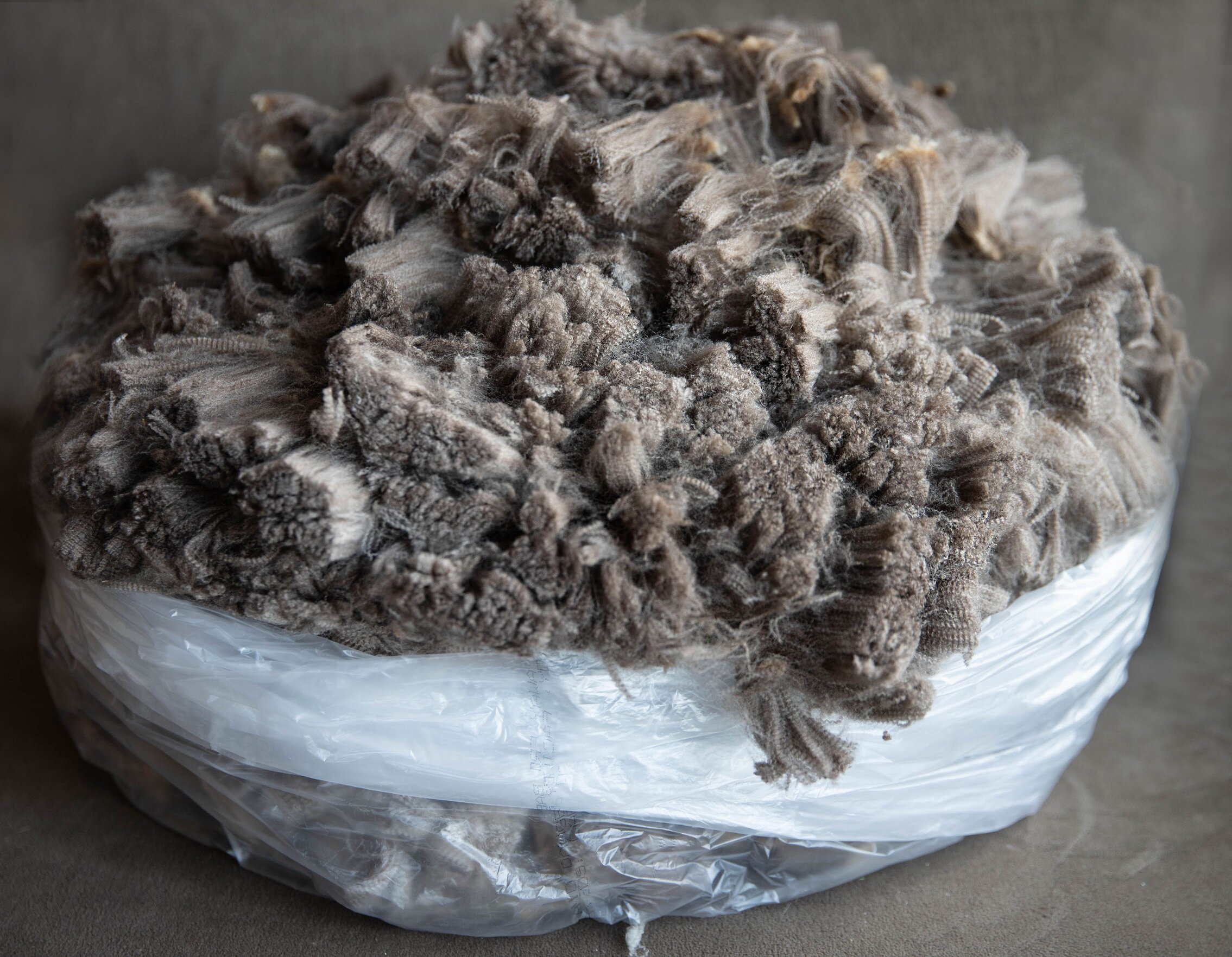 Merino Moorit Raw Wool – Cher - Fox Farm Homestead